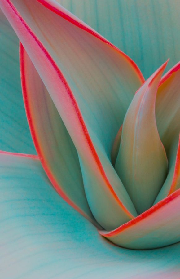 Careers - Talea Group S.p.A